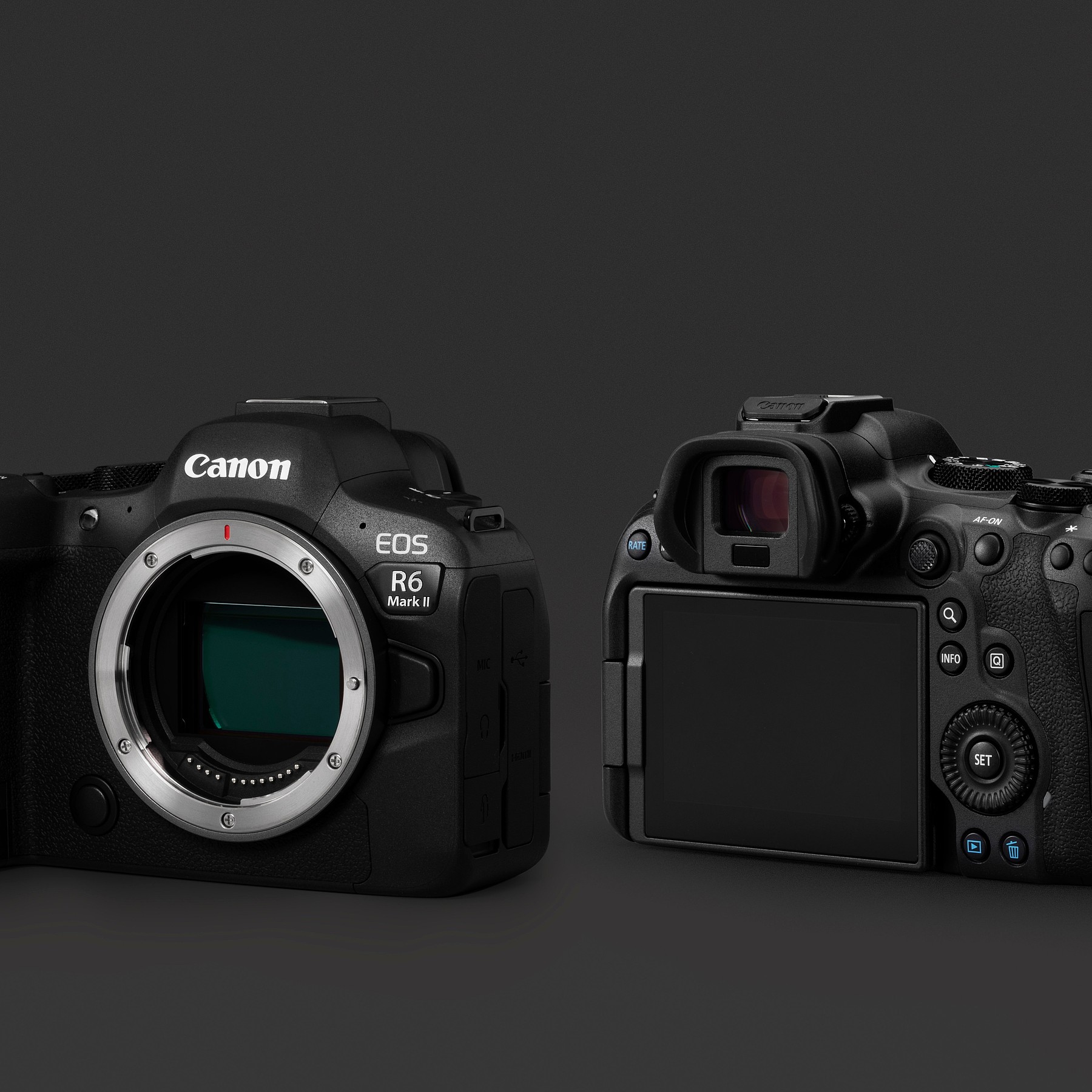EOS R6 Mark II: Die bisher schnellste Kamera von Canon - Camgaroo